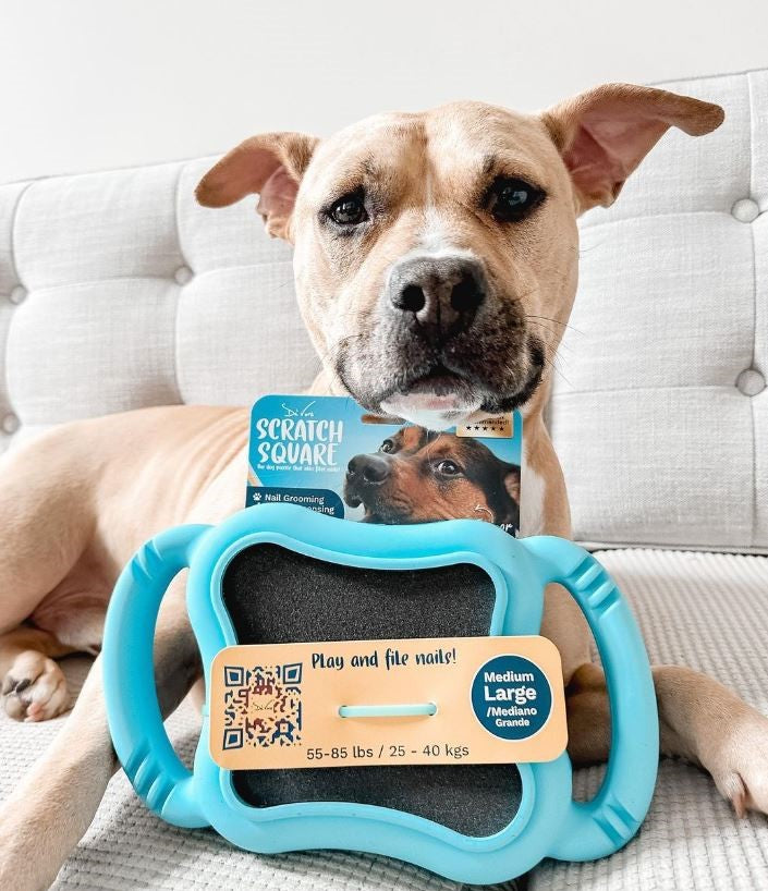 Nautical Wheelers Gift Giving Guide: Furry Friends Edition! – Nautical ...