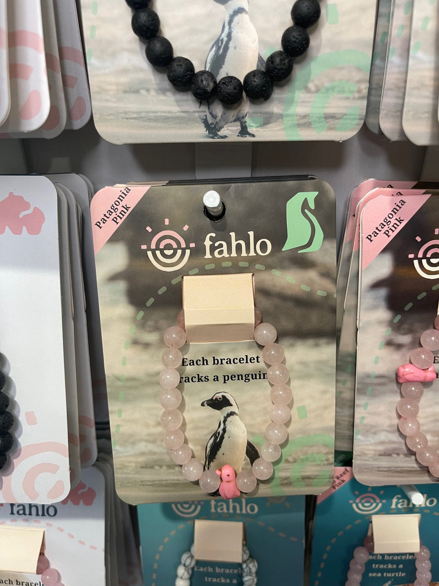 Penguin Tracking Bracelet – Nautical Wheelers Oriental & New Bern